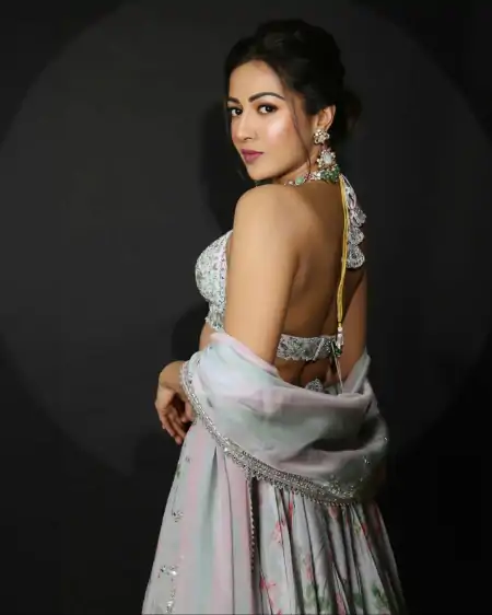 Catherine Tresa Hot Navel Pics And Photo In Lehnga